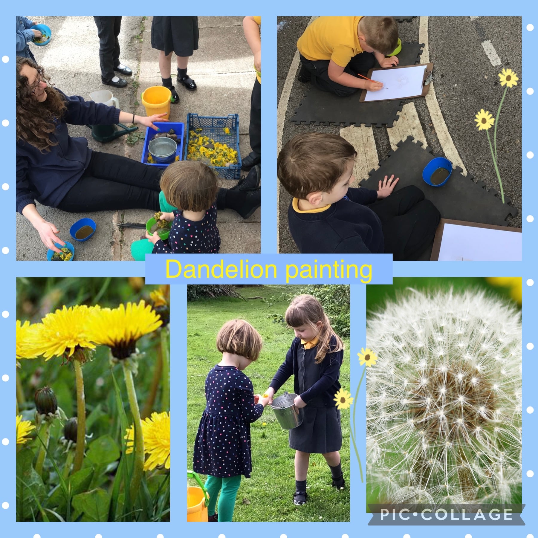 Forest School – making dandelion paint – St Weonards Academy